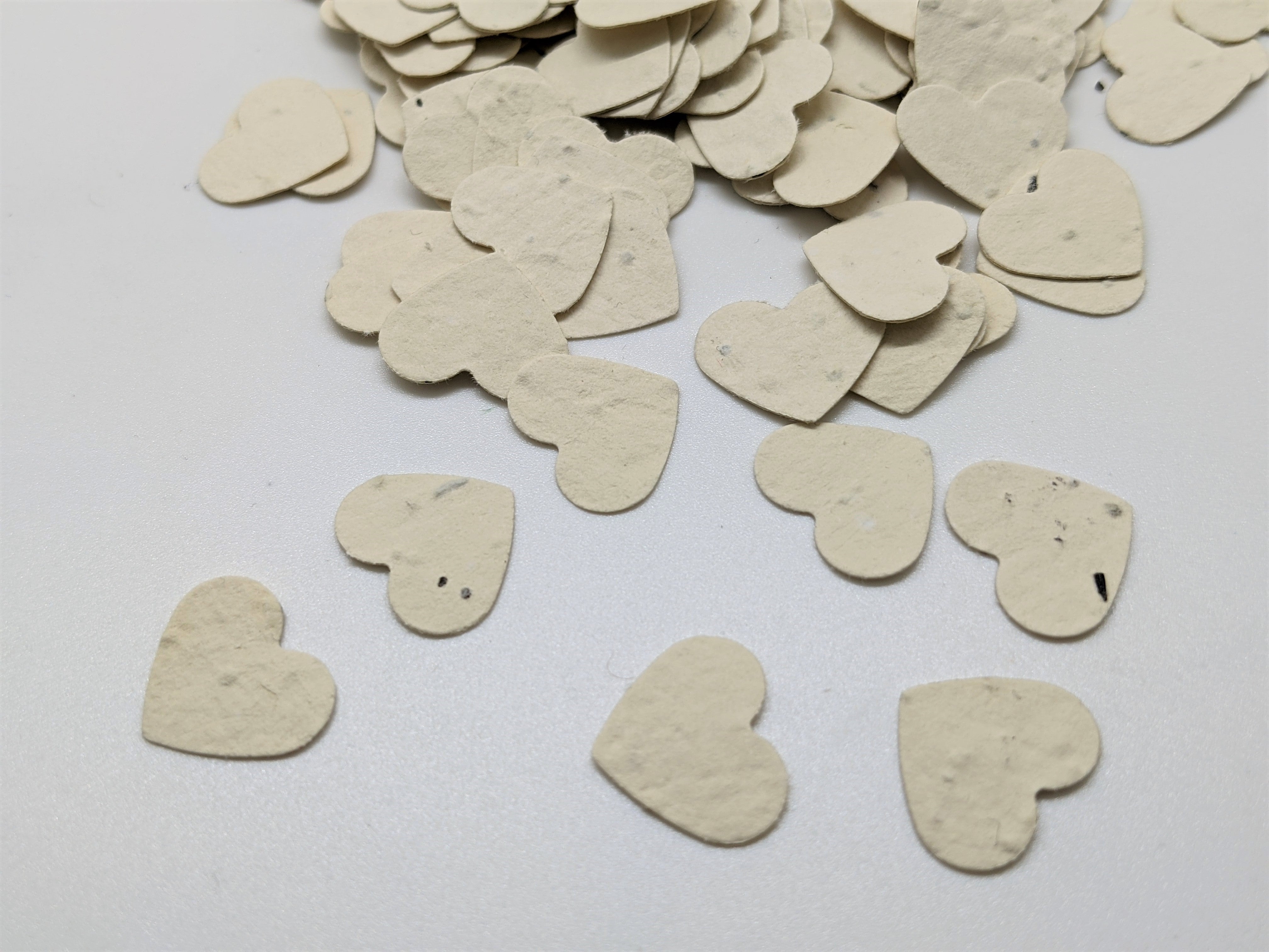 Seed Paper Confetti – PML Studios